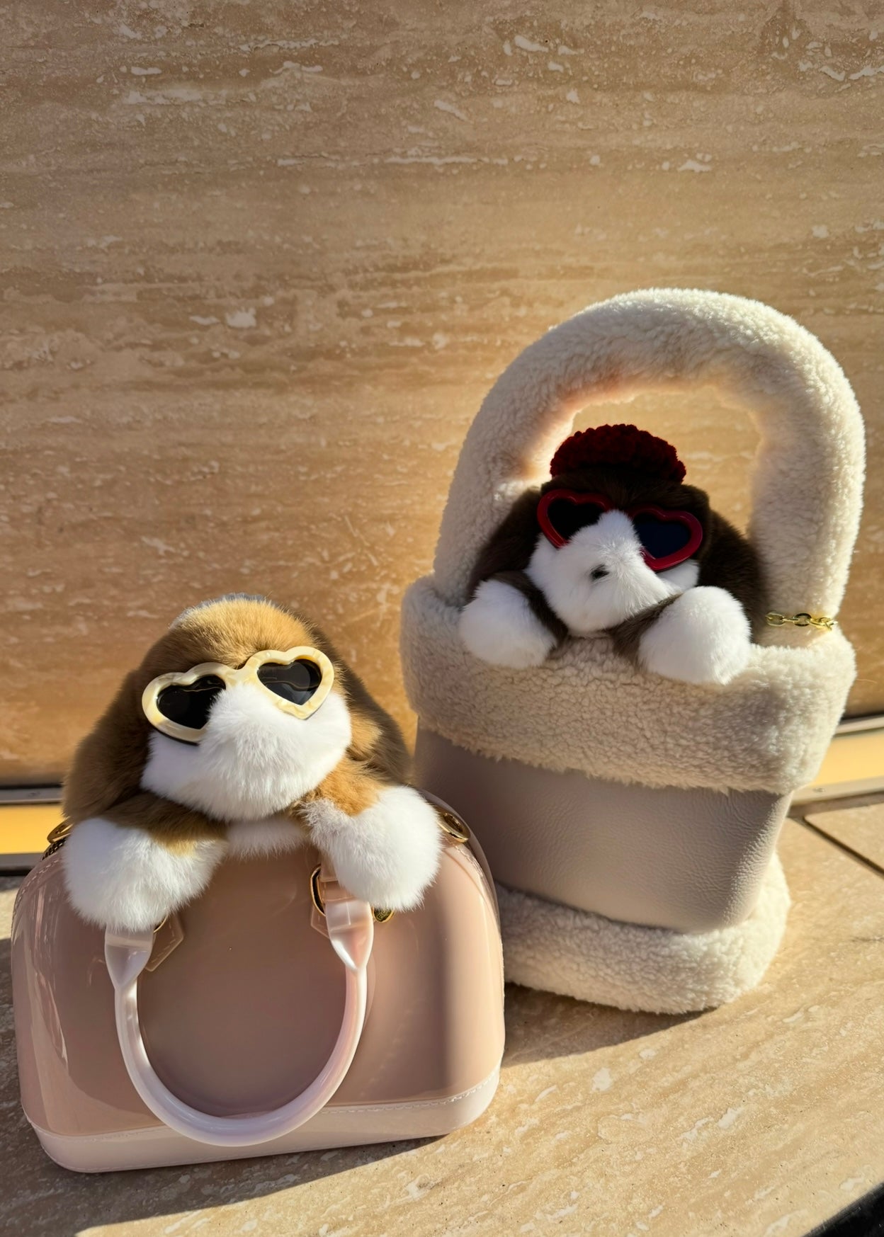 Dog and Cat – - Maison Clannie Official-